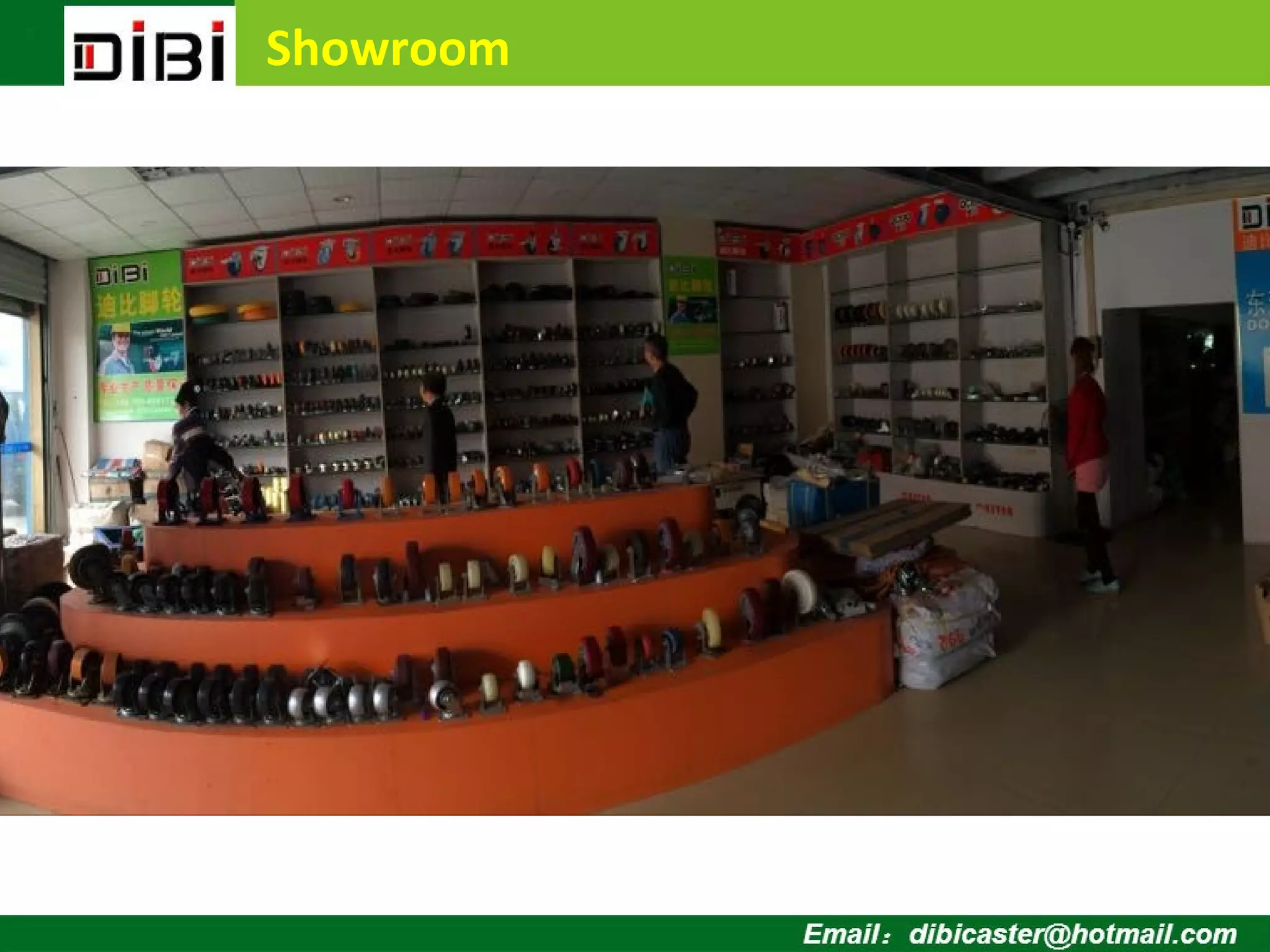 DiBi Caster Presentation | PPT