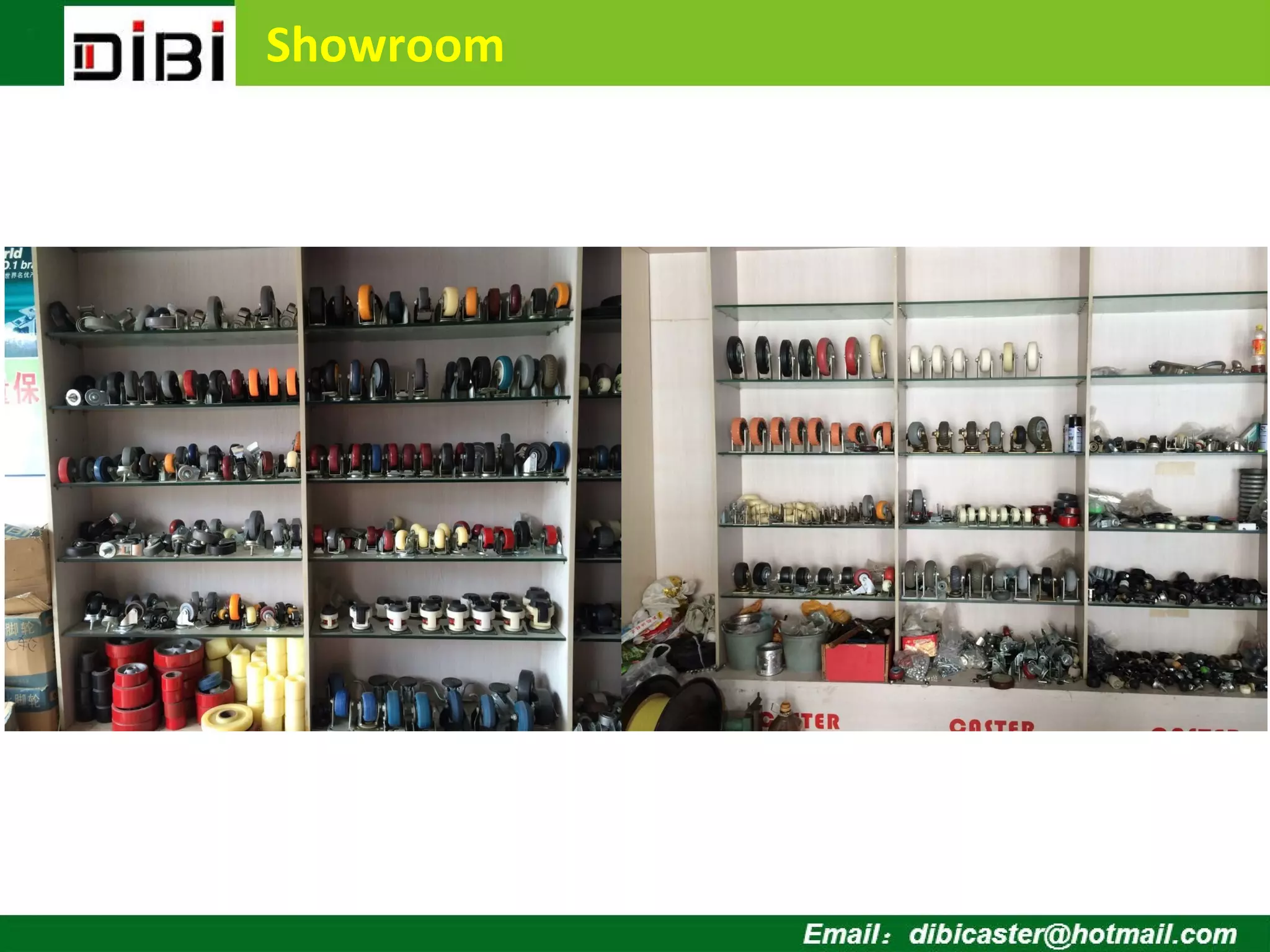 DiBi Caster Presentation | PPT