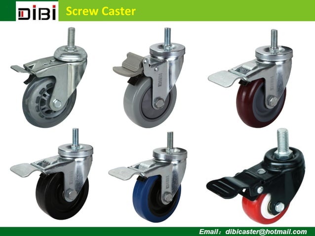 DiBi Caster Presentation | PPT