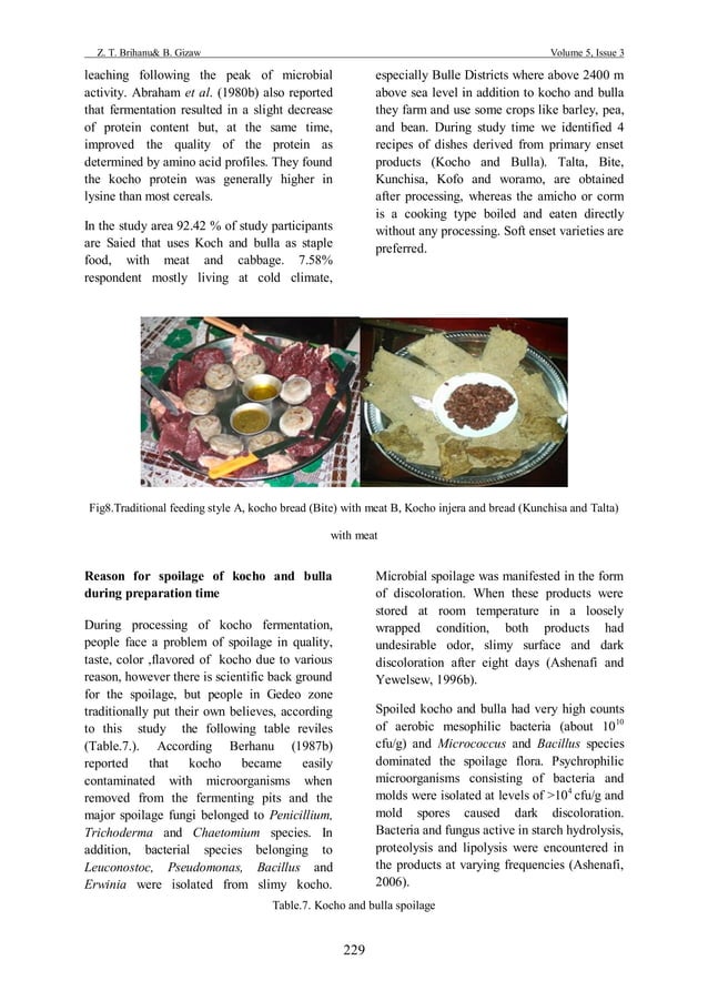 zerihun journal | PDF