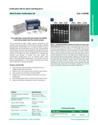 Purification Kits for Stem Cell Research | PDF