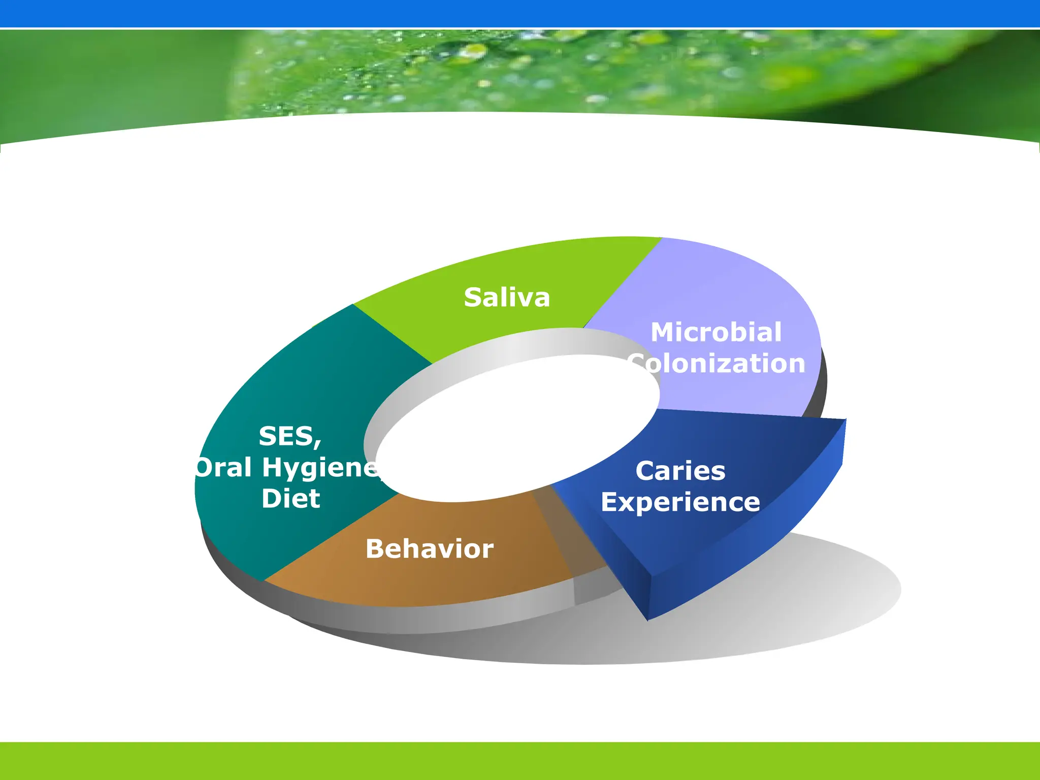 dental caries and root caries risk assesment | PPT