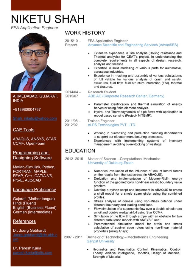 CV-Niketu | PDF