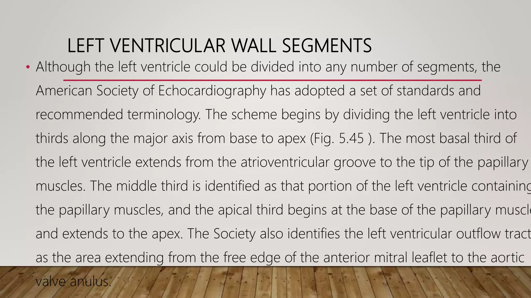 2d echo basics | PPTX