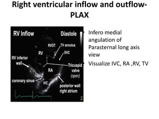 2 d echocardiography views | PPTX