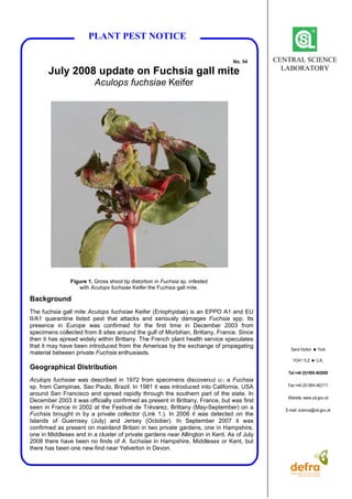 54-Fuchsia Gall Mite Updated 2008 | PDF