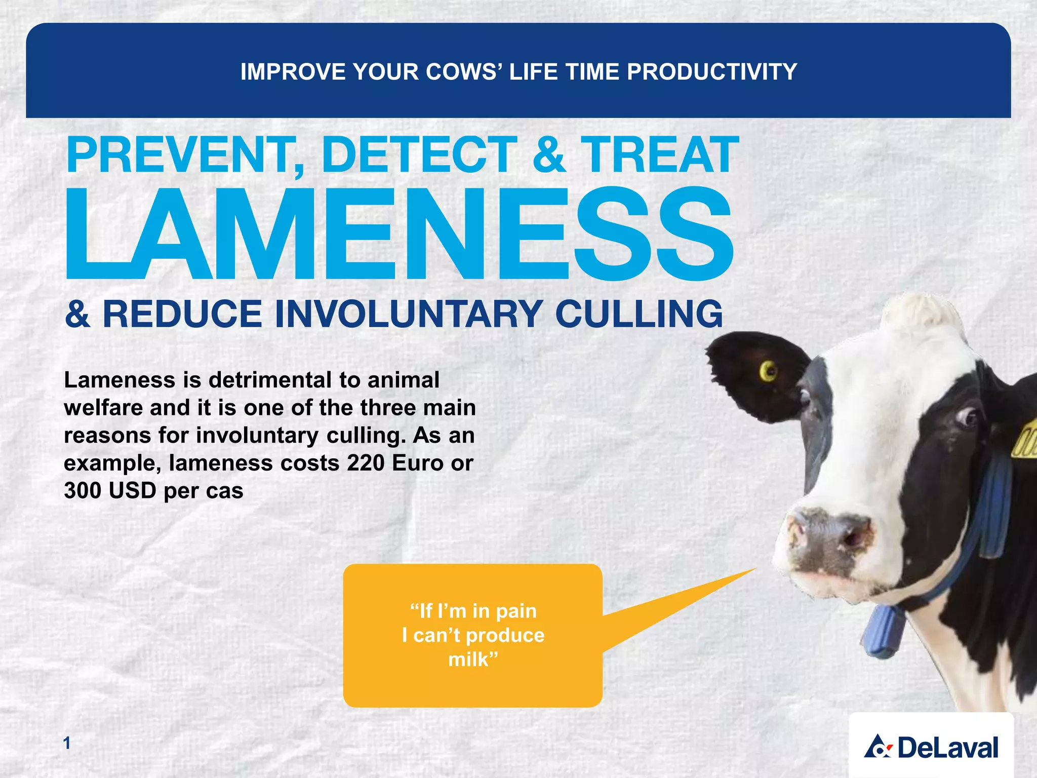 Lameness in dairy cows | PPT