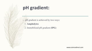 2D Electrophoresis | PPTX