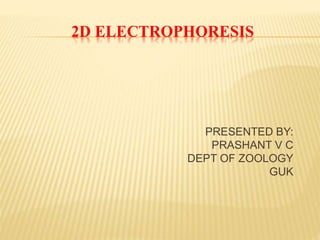 2D ELECTROPHORESIS.pptx