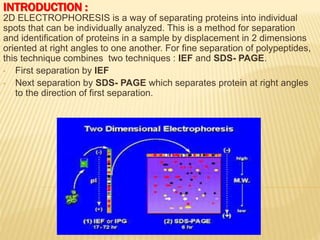 2D ELECTROPHORESIS.pptx