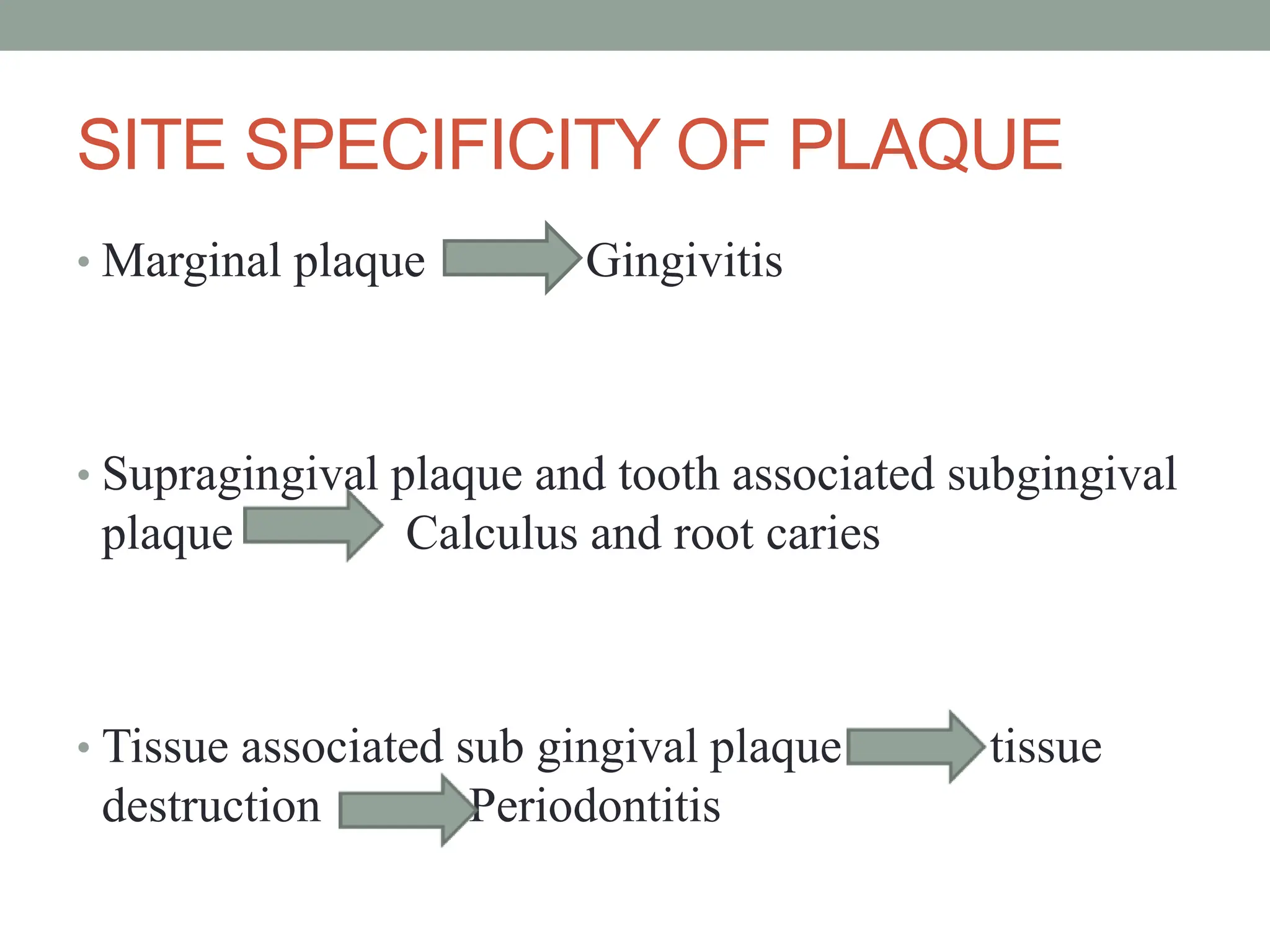 2 DENTAL PLAQUE.pptx | Dental Health | Diseases and Conditions
