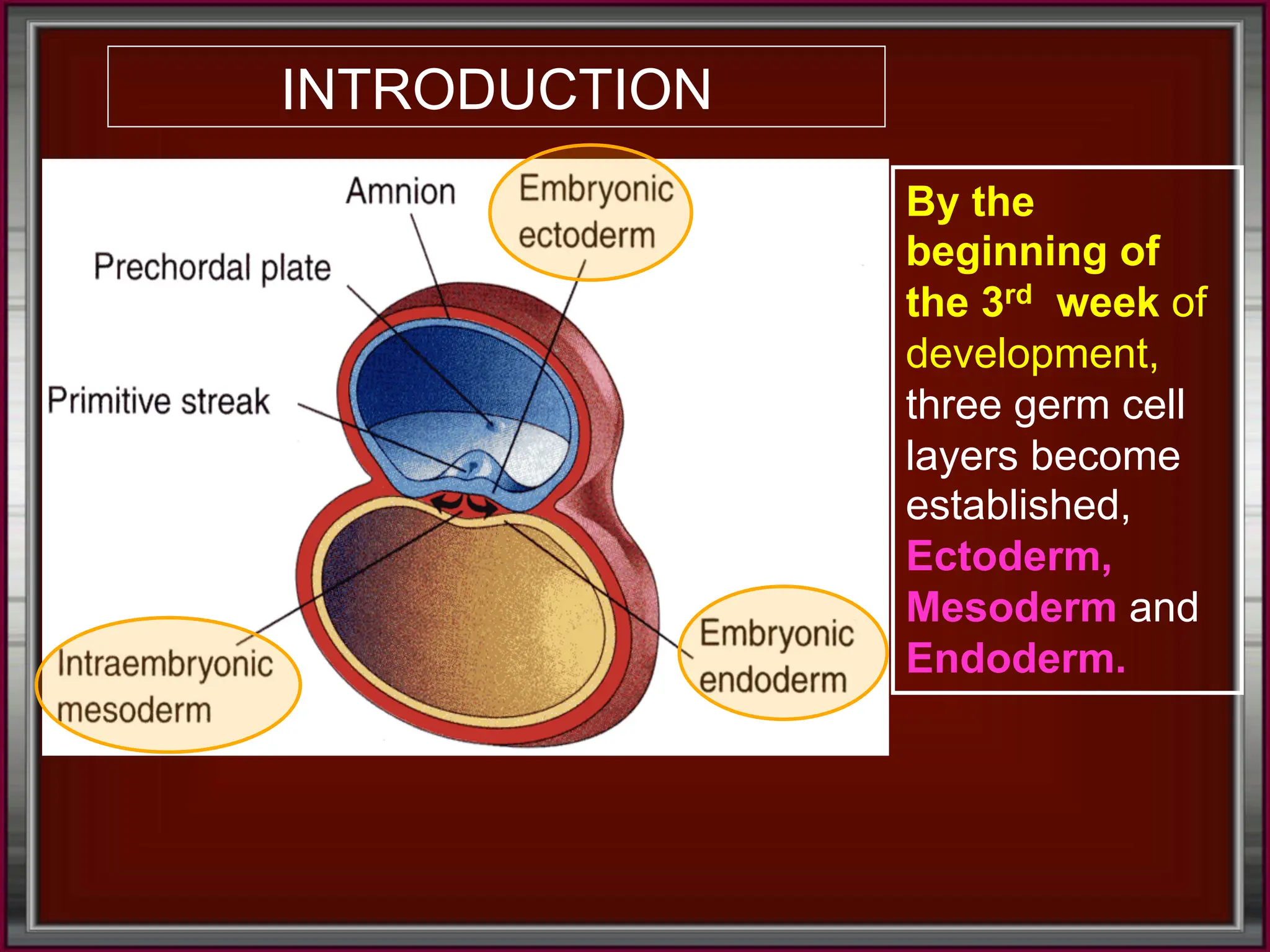 2) Development of cerebrum & cerebellum.Final-2016.pdf