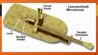 General Biology Development of Microscope.pptx