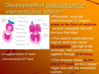 2Development_of_the_Heart_المحاضرة_التانية.ppt