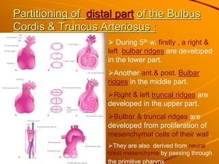 2Development_of_the_Heart_المحاضرة_التانية.ppt