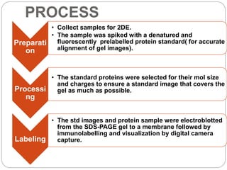 2 d gel analysis | PPT