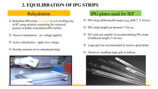 2D Gel Electrophoresis | PPTX