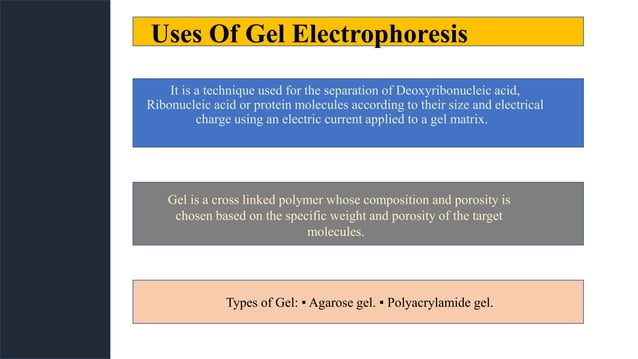 2D Gel Electrophoresis | PPTX | Chemistry | Science