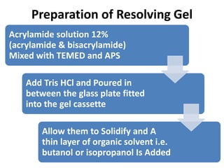 2 d gel electrophoresis | PPTX
