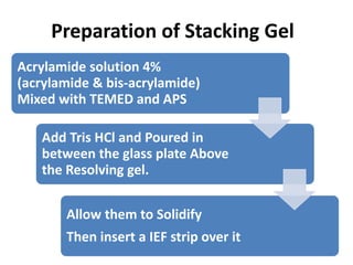 2 d gel electrophoresis | PPTX