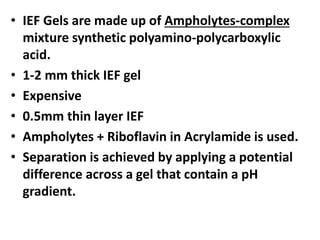 2 d gel electrophoresis | PPTX