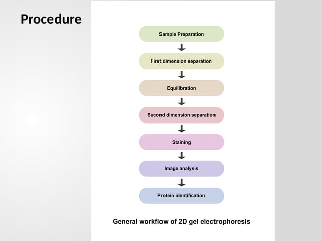 2 Dimensional Gel Electrophoresis (2-DE) | PPT