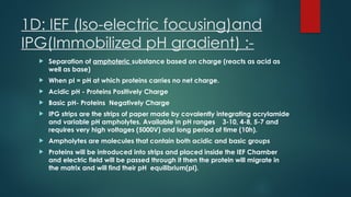 2-D gel Electrophoresis of proteinn.pptx