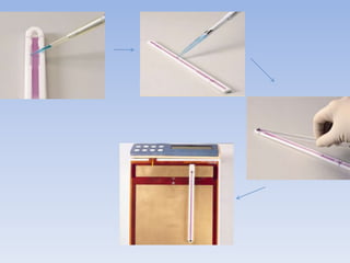 2 d gel electrophresis | PPTX