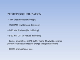 2 d gel electrophresis | PPTX