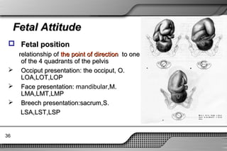 2 diagnosis of pregnancy | PPT