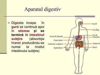 2_digestia.ppt