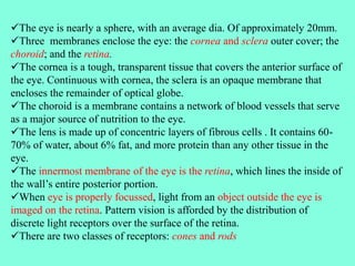 2 digital image fundamentals | PPT