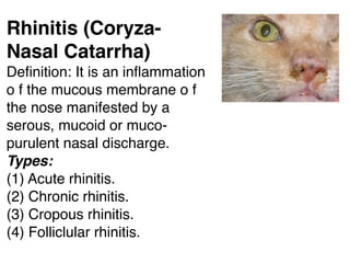 2 diseases of the upper respiratory tract | PPT