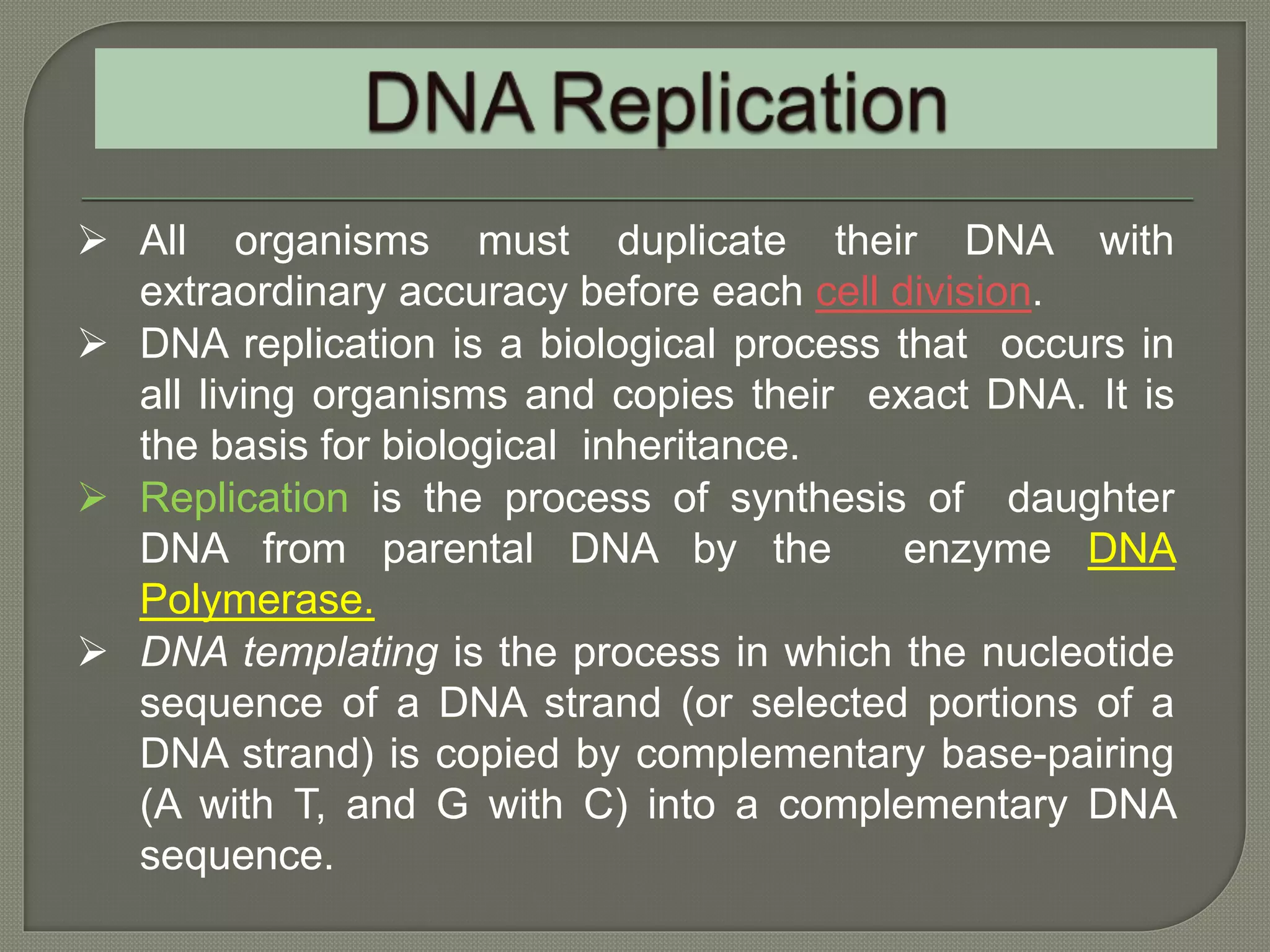 2 dna replication pro & euk. | PPTX