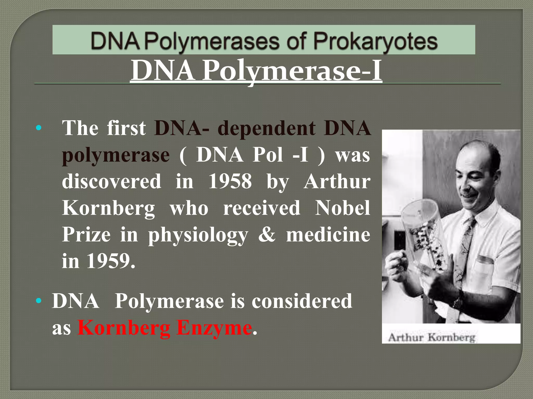 2 dna replication pro & euk. | PPTX