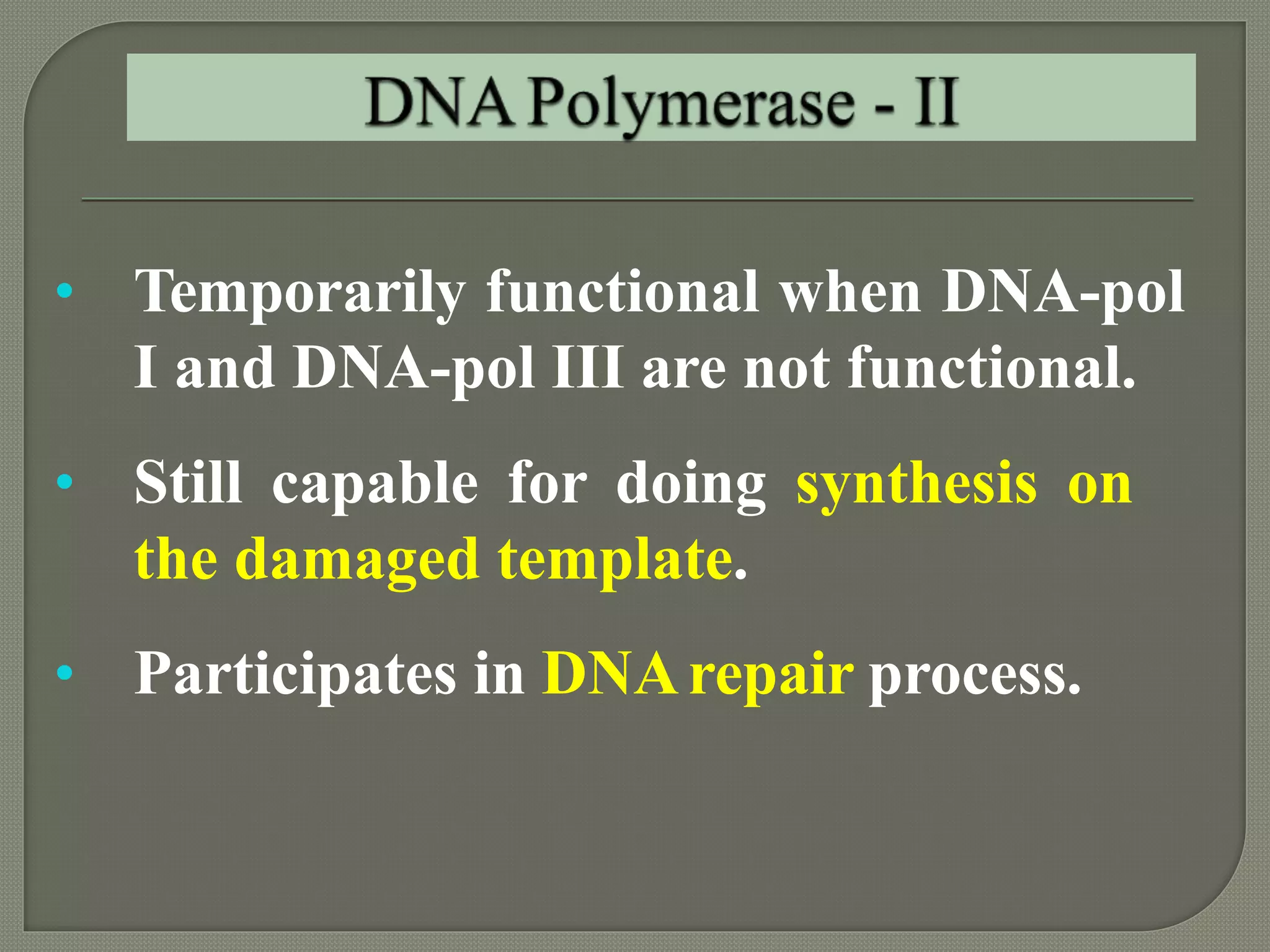 2 dna replication pro & euk. | PPTX