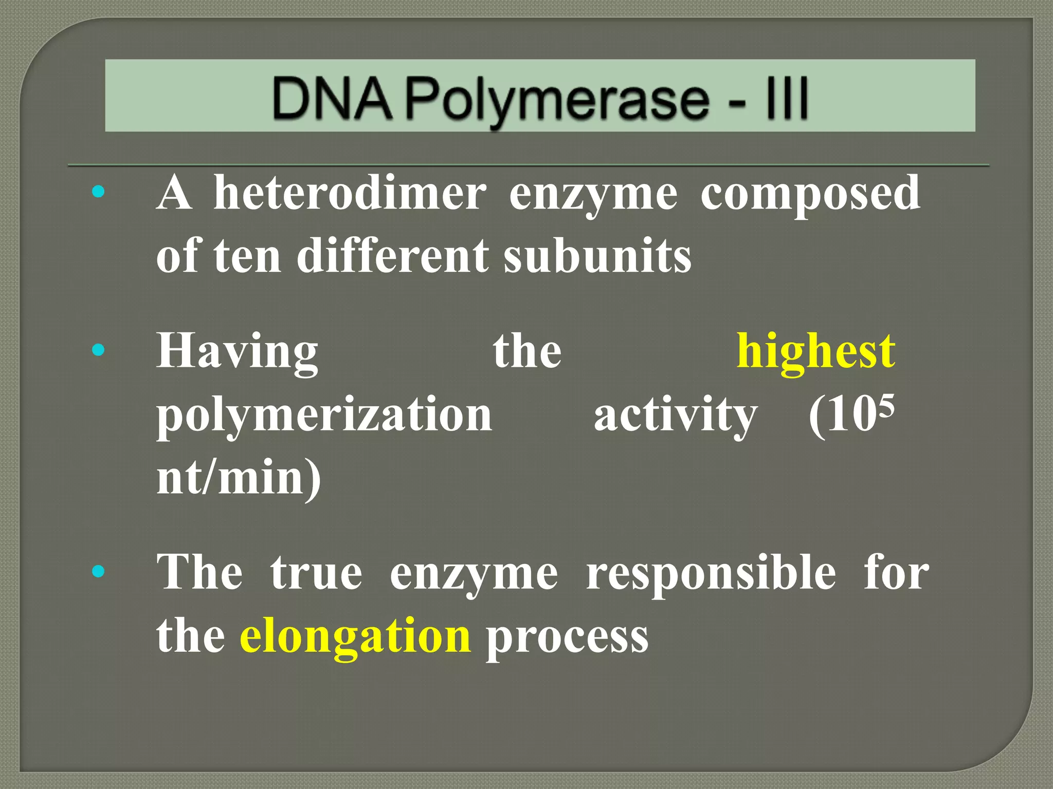 2 dna replication pro & euk. | PPTX