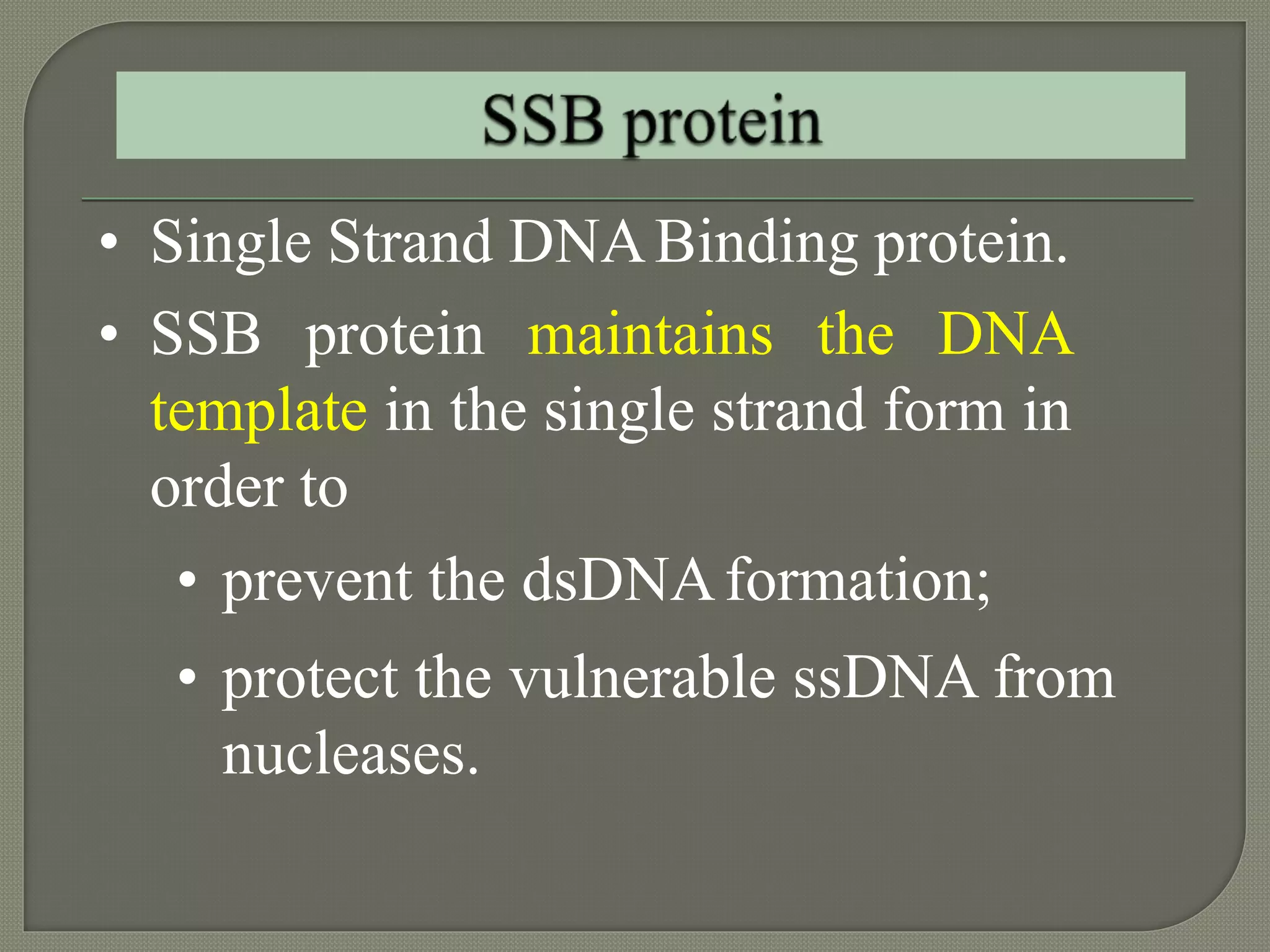 2 dna replication pro & euk. | PPTX