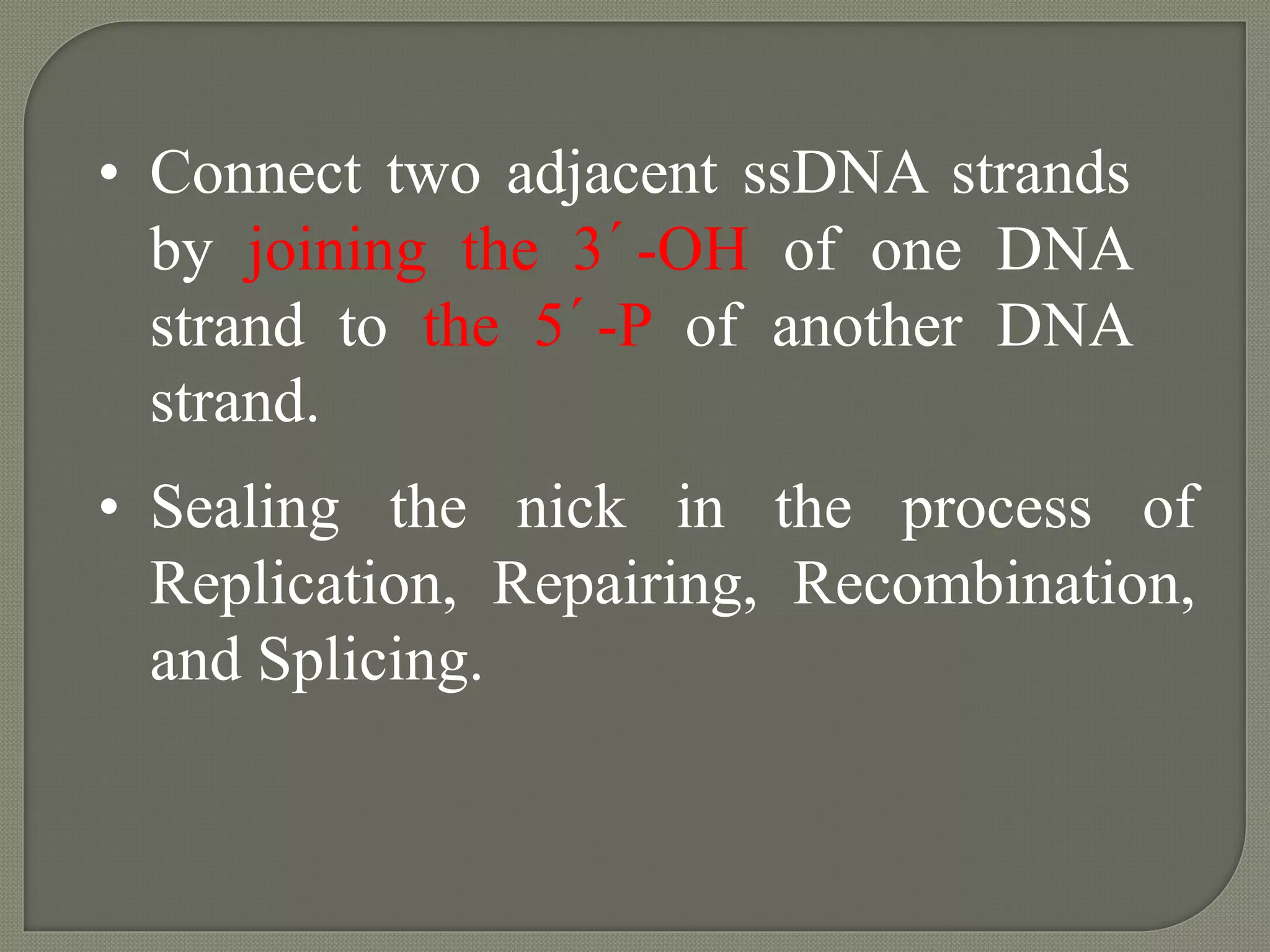 2 dna replication pro & euk. | PPTX