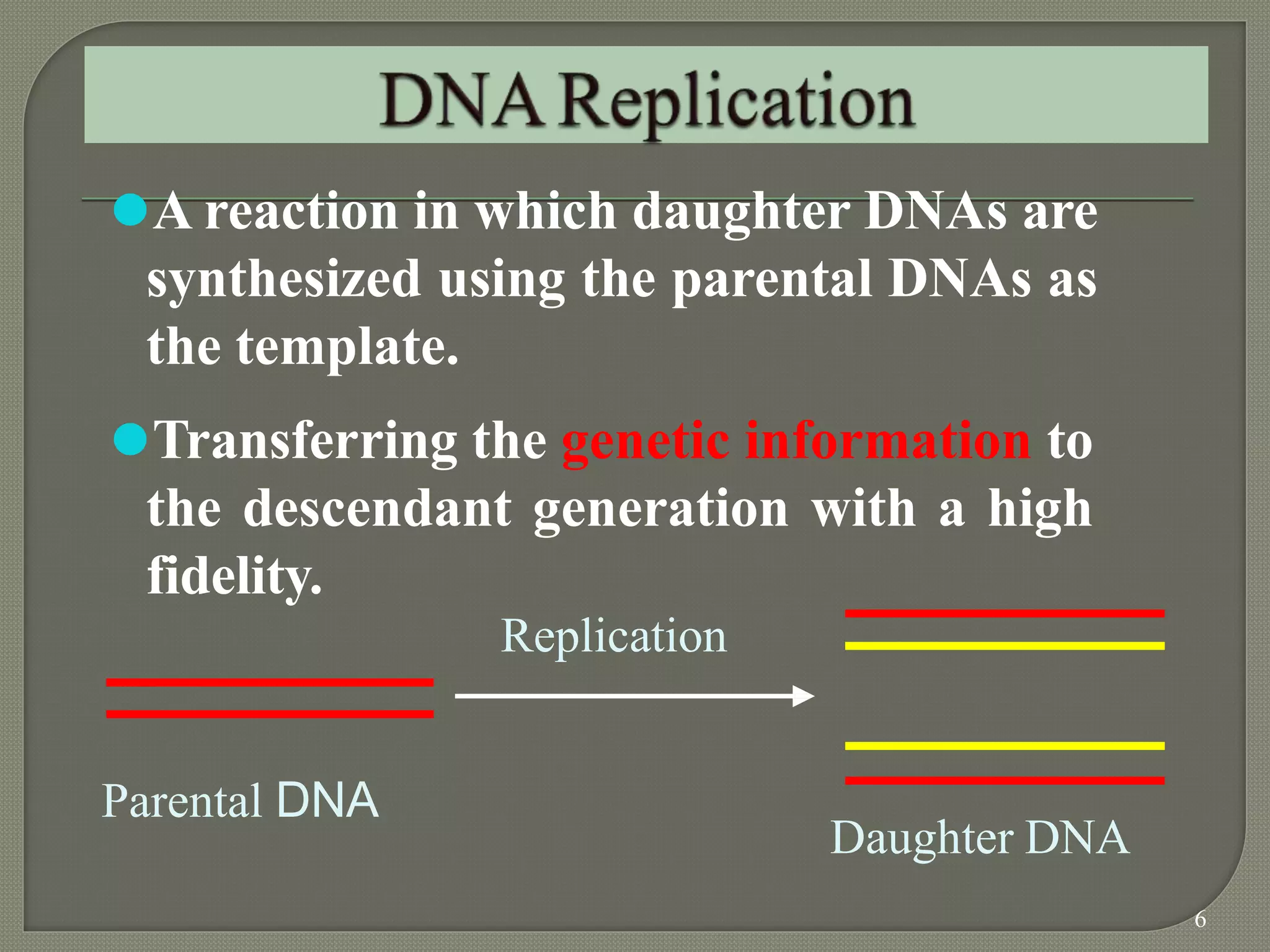 2 dna replication pro & euk. | PPTX