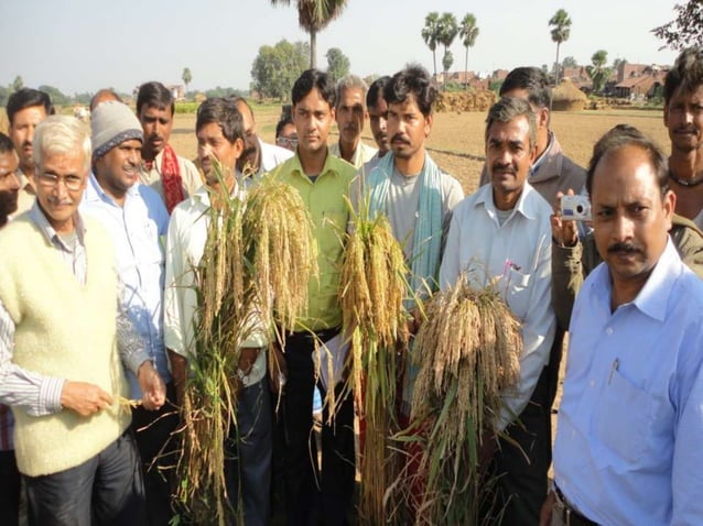 DOA government of bihar | PPTX