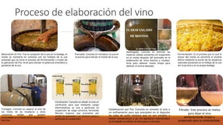 Fermentación Alcohólica | PDF