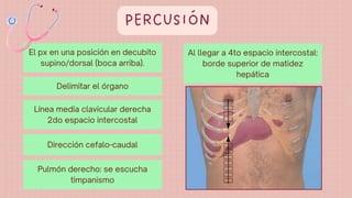 exploración de Abdomen-introducción a la salud | PDF