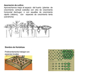 taller de nutrición para comunidades rurales | PPT