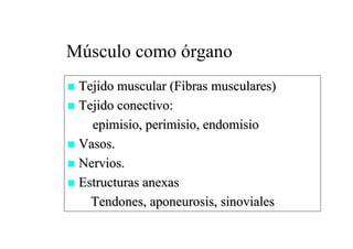 2do_teorico_anatomia_1.pdf