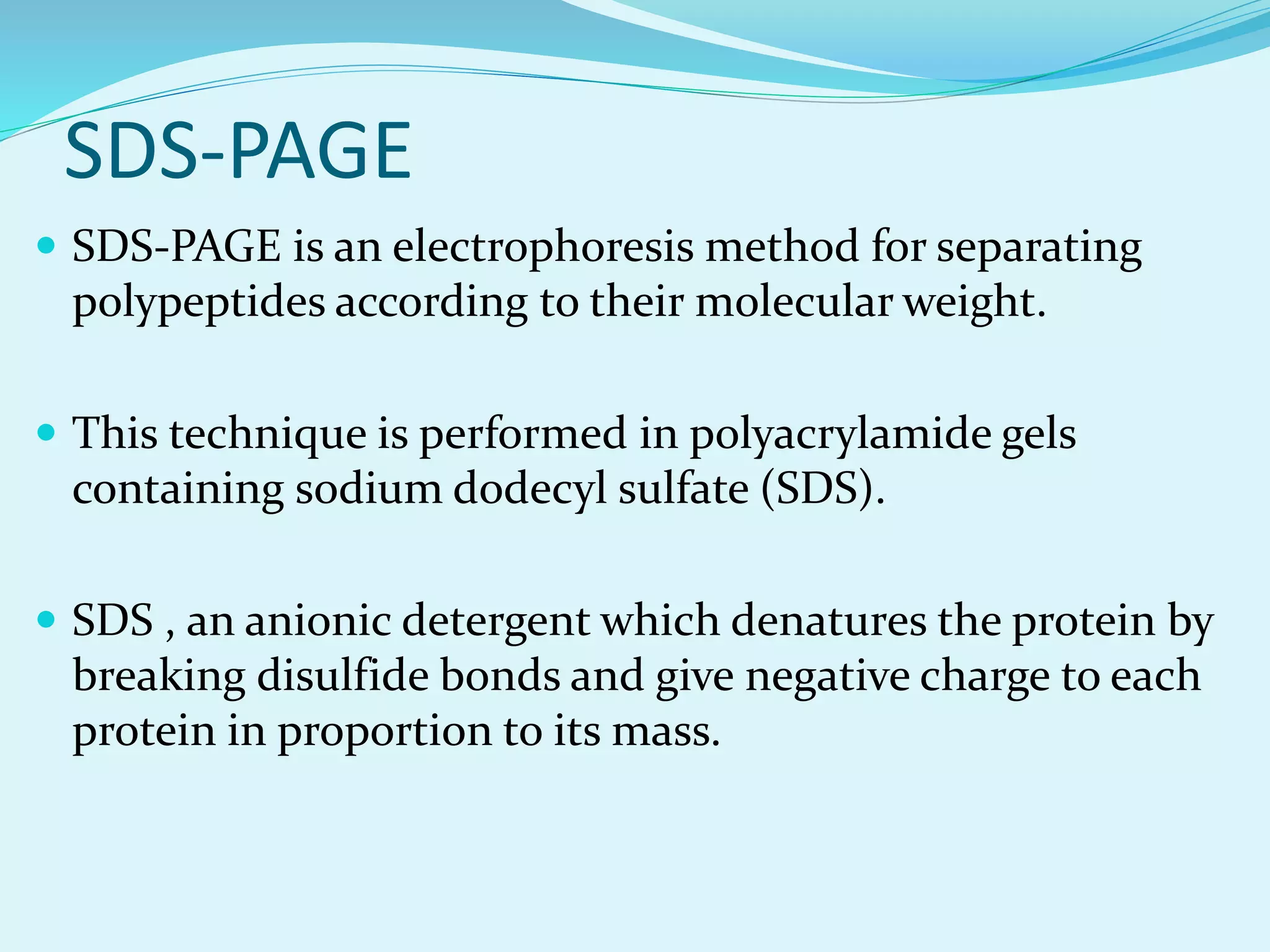 2d Page | PPTX