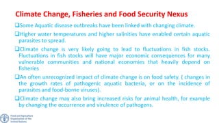 Nutrition sensitive fish agri-food systems FAO-presentation | PPT