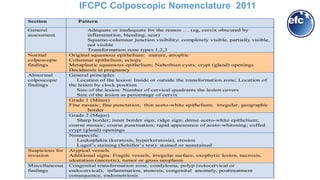 Pekka Nieminen - International terminology and EFC quality standards in colposcopy | PDF ...