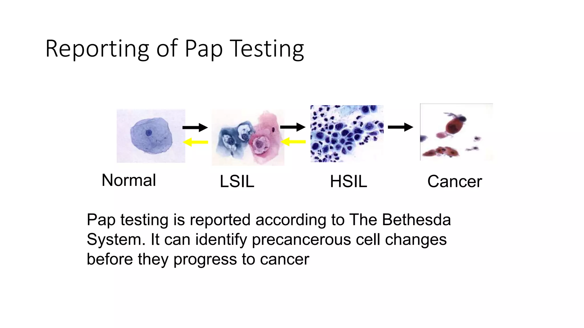Dept. of Health cervical cancer fogsi_ screening test npcdcs_dept. of ...