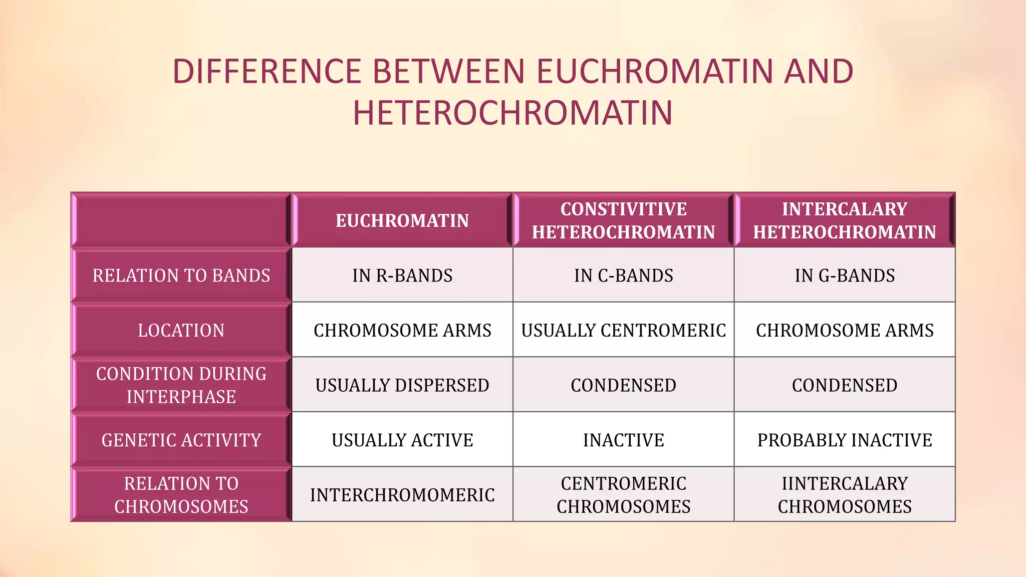 Heterochromatin and euchromatin mains | PPTX